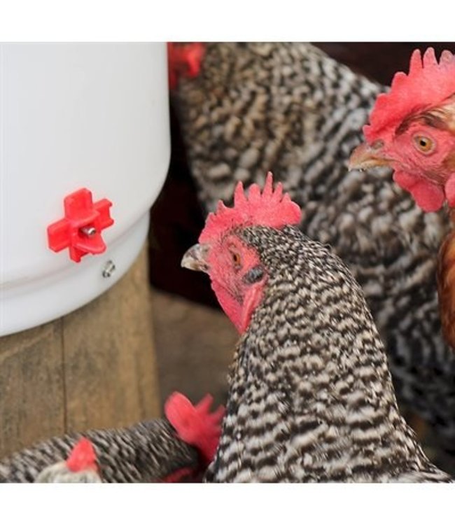 FARM INNOVATORS - 2 Gallon Heated Electric Poultry Waterer - Paddock ...