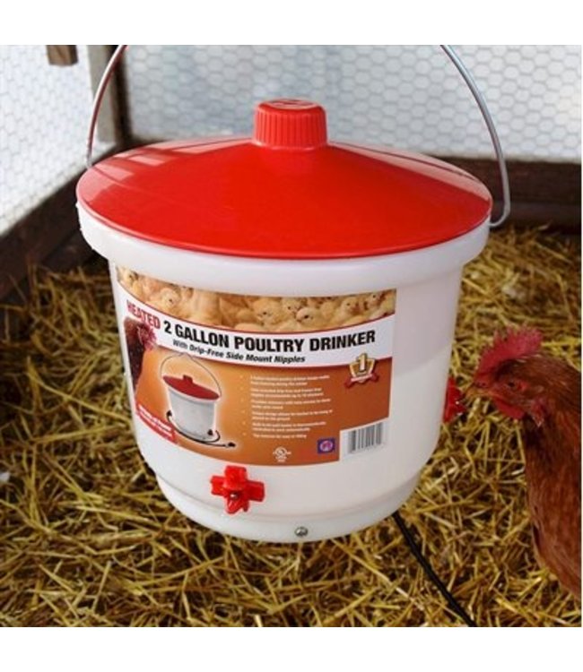 FARM INNOVATORS - 2 Gallon Heated Electric Poultry Waterer - Paddock ...