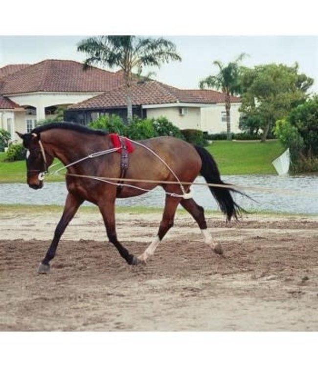 PESSOA - Lanyard training system - Paddock Animal & Co