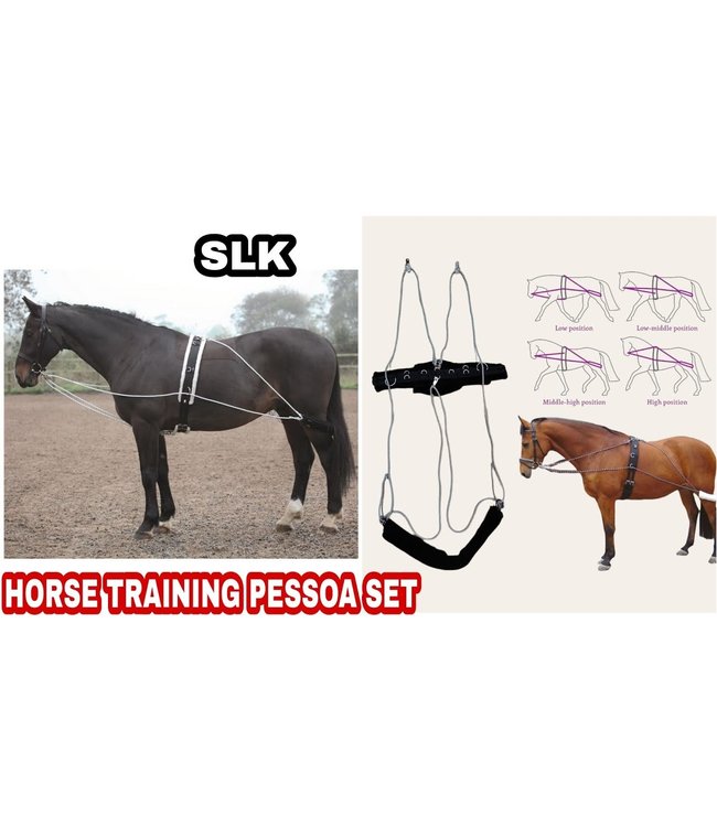 PESSOA - Lanyard training system - Paddock Animal & Co