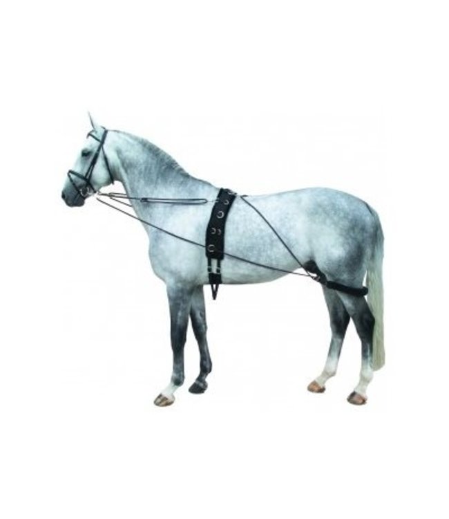 PREMIERE - Pessoa-style lunging system - Paddock Animal & Co