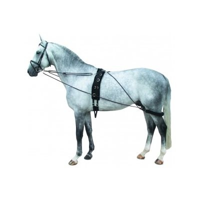 PREMIERE - Pessoa-style lunging system - Paddock Animal & Co