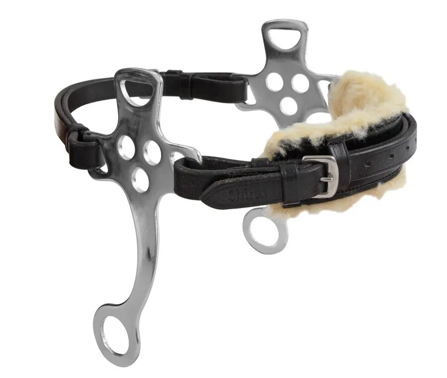 VELOCITI - Hackamore Gara classique - Paddock Animal