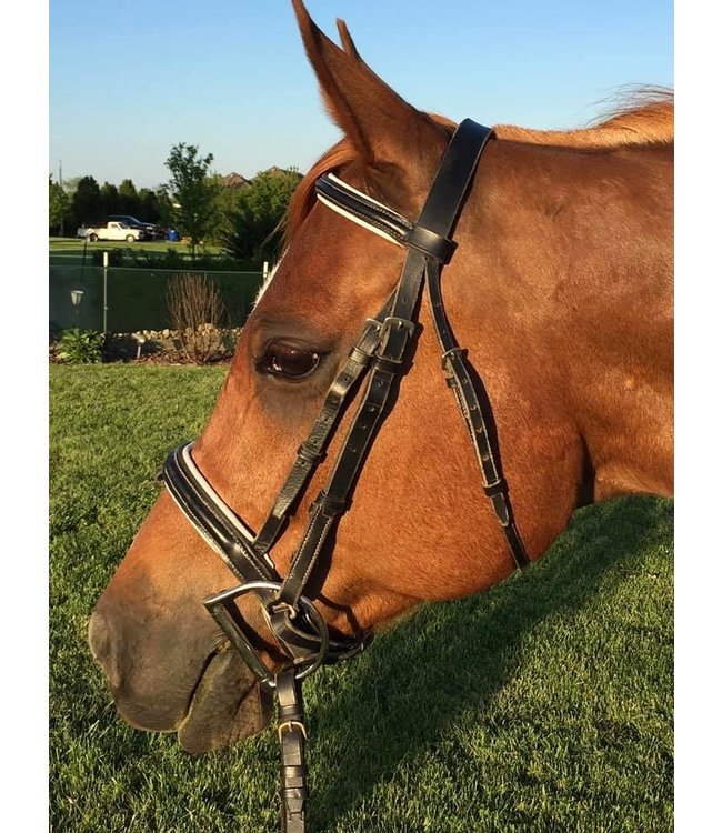 MYLER - English Dee Mullen Barrel Level 2-3 Copper bit - Paddock Animal ...