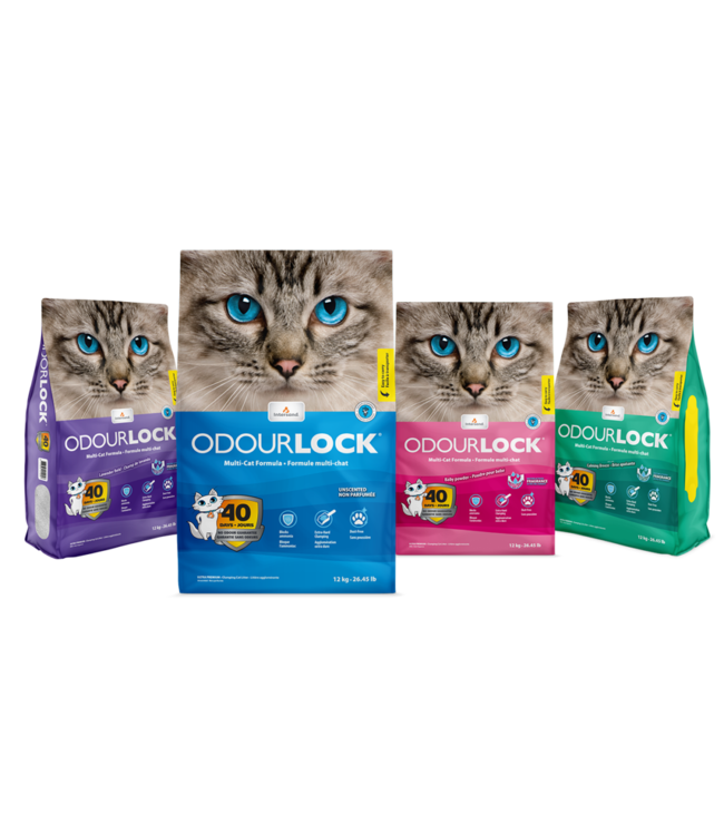INTERSAND - Litière OdourLock 40jours Multi-Chats - Paddock Animal