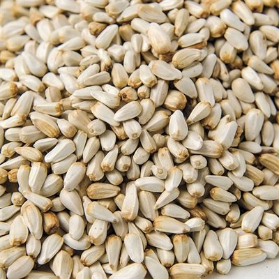 LES GRAINS DOUGLASS - Graines de Carthame - Paddock Animal