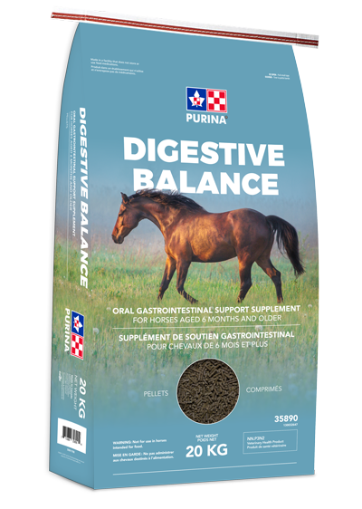 CARGILL PURINA - Digestive Balance - Paddock Animal