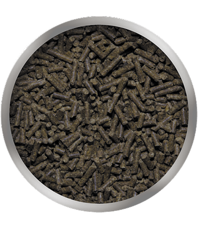 CARGILL PURINA - Digestive Balance - Paddock Animal