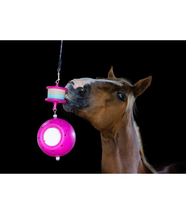 LIKIT - Boredom Breaker Kit - Paddock Animal