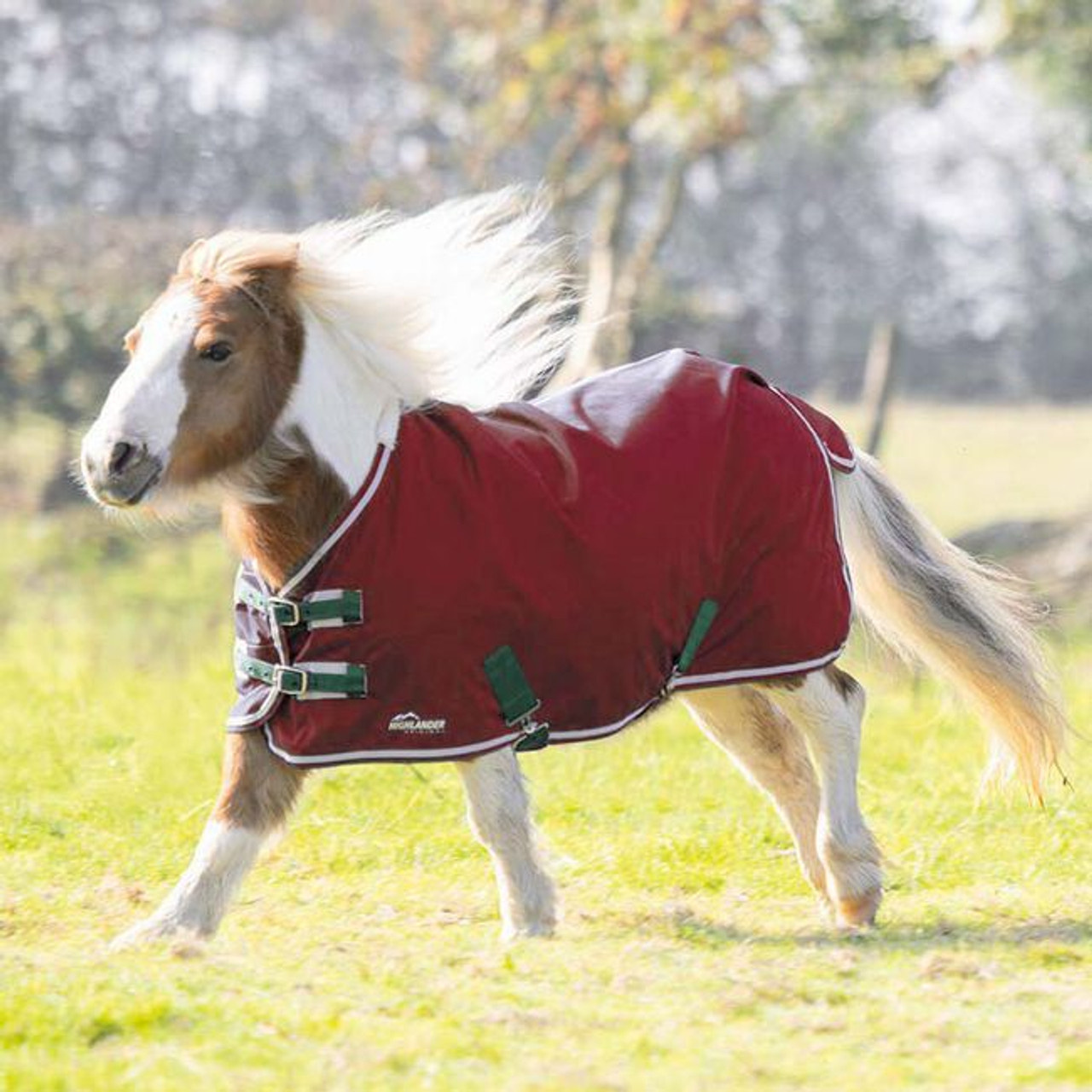 SHIRES - Highlander Original 200g miniature blanket - Paddock Animal & Co