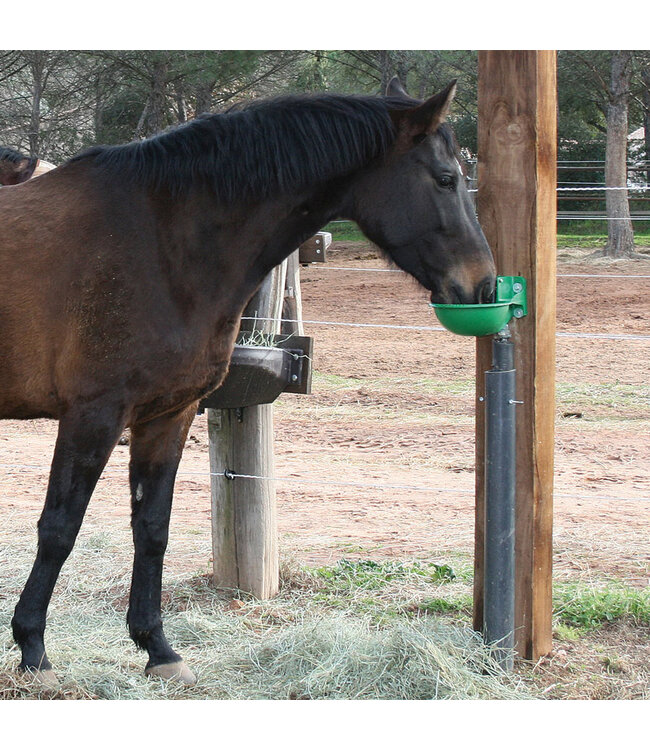 LA BUVETTE - Abreuvoir Forstal à palette verticale - Paddock Animal