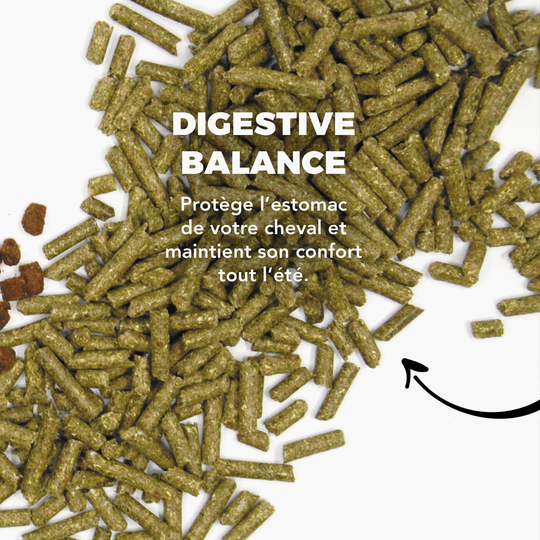 CARGILL PURINA - Digestive Balance - Paddock Animal
