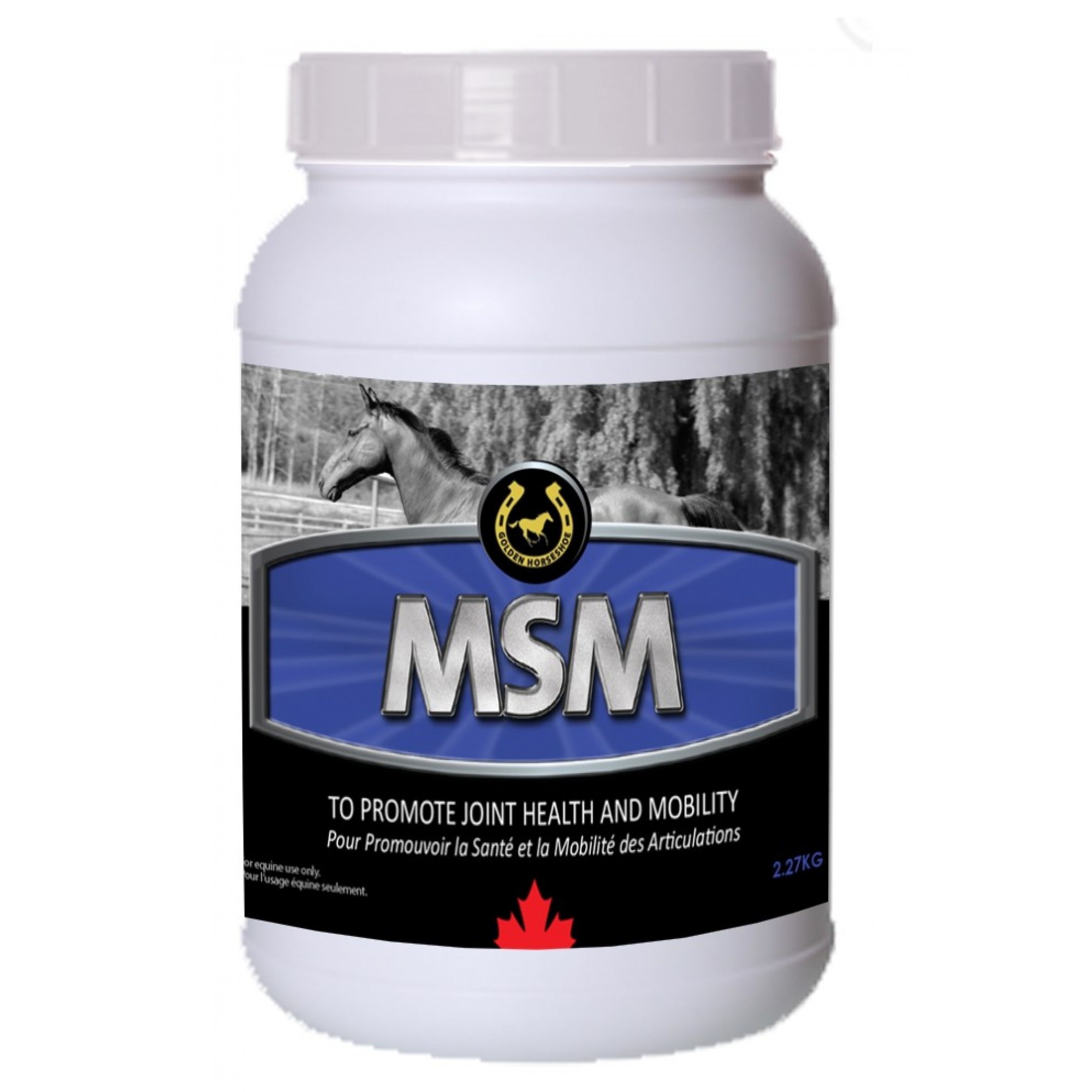 GOLDEN HORSESHOE - MSM - Paddock Animal