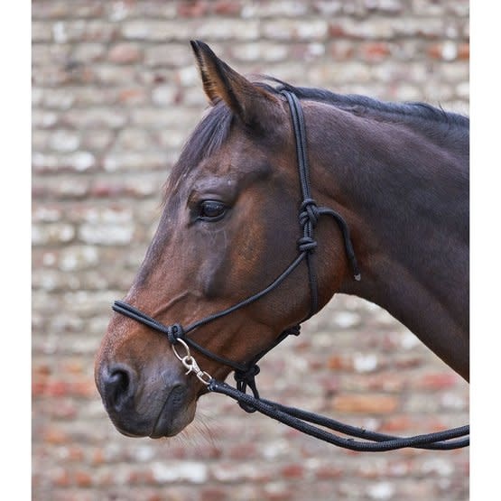 WADHAUSEN - Licou en corde et rênes - Paddock Animal