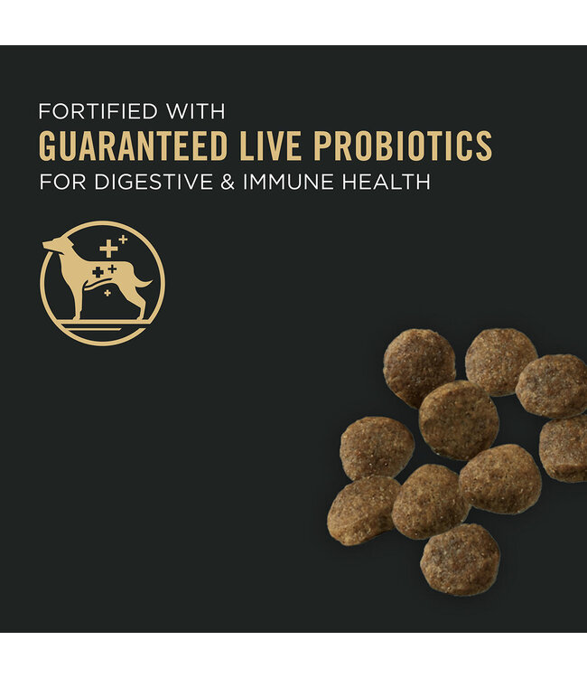 PROPLAN - Sensitive Skin & Stomach Formula for Puppies - Paddock Animal ...