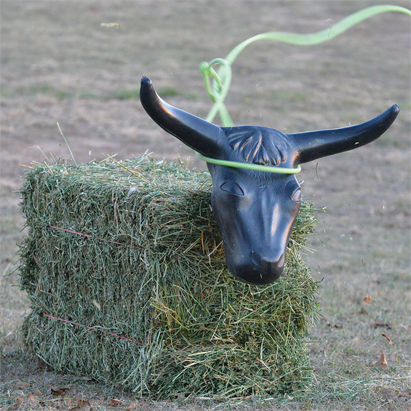 GER-RYAN - Tête de Bouvillon - Paddock Animal