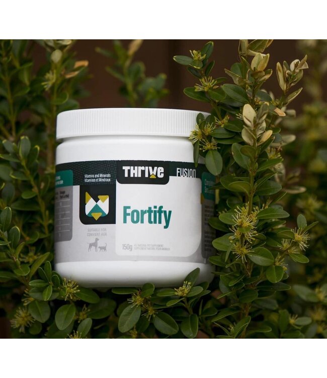 THRIVE - Supplément Fortify Fusion - Paddock Animal