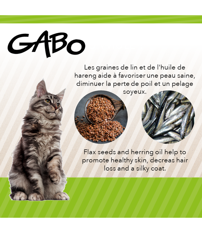 GABO - Nourriture au Poulet pour Chat & Chaton - Paddock Animal