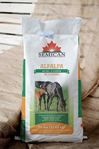 SEMICAN - Minicubes de Luzerne - Paddock Animal