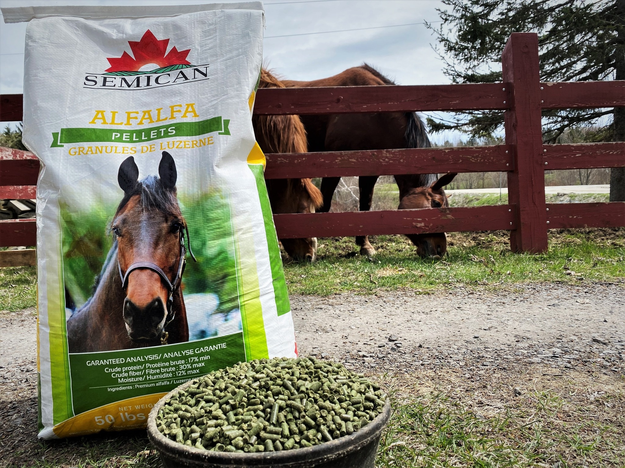 SEMICAN - Granules de Luzerne - Paddock Animal