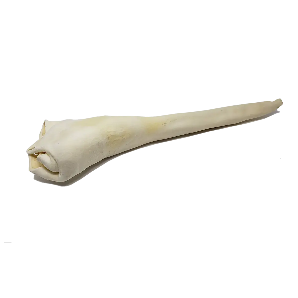 OPEN RANGE - Whole Cow's Tail - Paddock Animal & Co