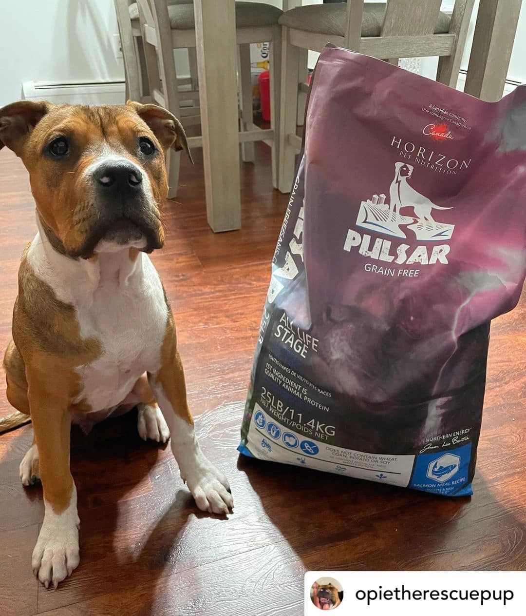 PULSAR - Fish Recipe - Paddock Animal & Co