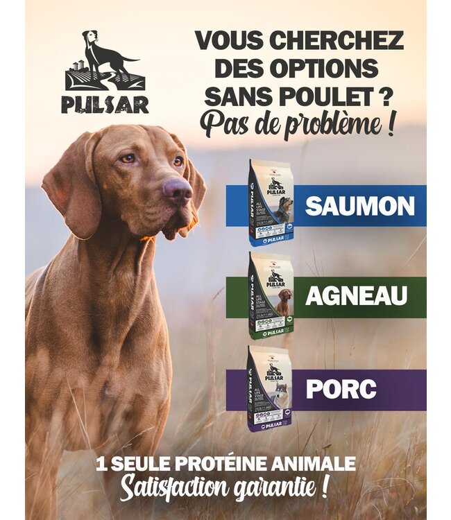 PULSAR - Fish Recipe - Paddock Animal & Co
