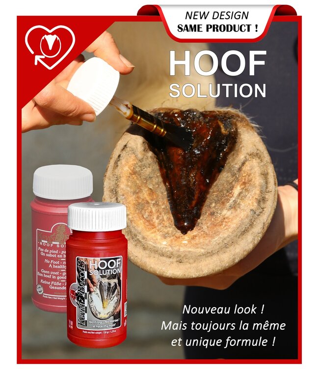 KEVIN BACON'S - Frog Shield - Paddock Animal