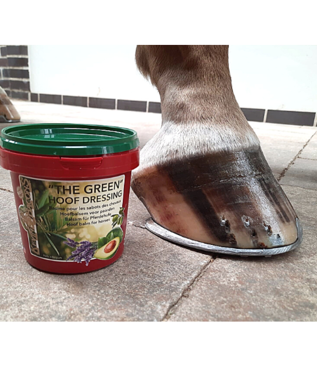 KEVIN BACON'S - The Green Hoof Dressing - Paddock Animal