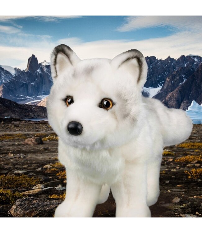 DOUGLAS - Arctic Fox Plush - Paddock Animal & Co