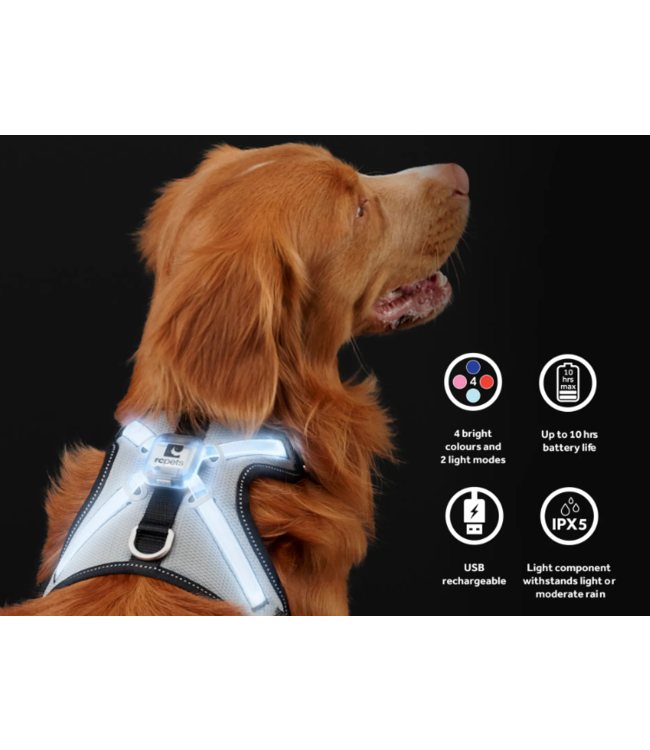 RC PETS - Harnais Light Nova LED - Paddock Animal