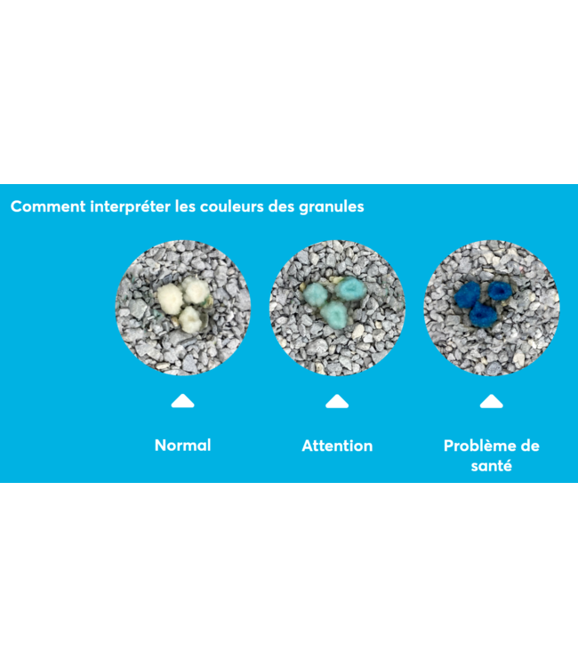 INTERSAND - Litière agglomérante MaxCare Non parfumée - Paddock Animal