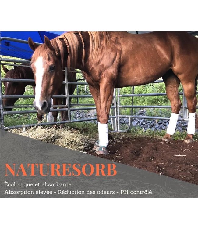 NATURESORB - Mousse de tourbe (3 pi³) - Paddock Animal