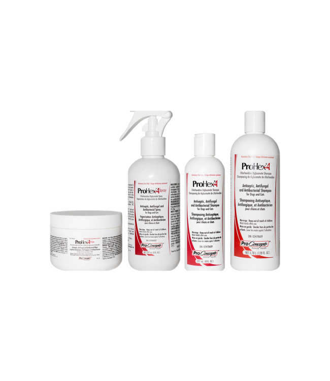 PRO CONCEPTS - ProHex Ointment (Chlorhexidine 1%) - Paddock Animal & Co