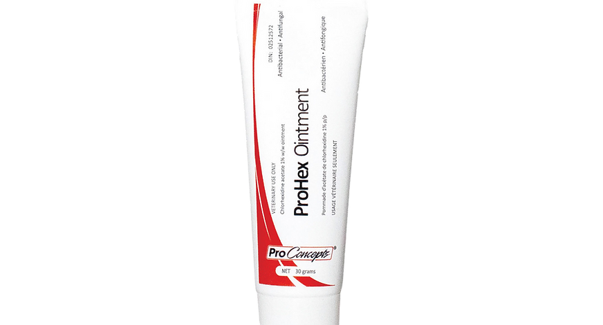 PRO CONCEPTS - ProHex Onguent (Chlorhexidine 1%) - Paddock Animal