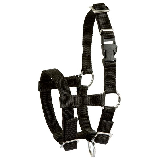 MATÉLEVAGE - Licou en Nylon ajustable pour Alpaga - Paddock Animal