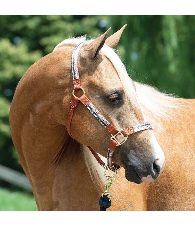 WEAVER - Licou en Nylon 1'' Ajustable Trekking West - Paddock Animal