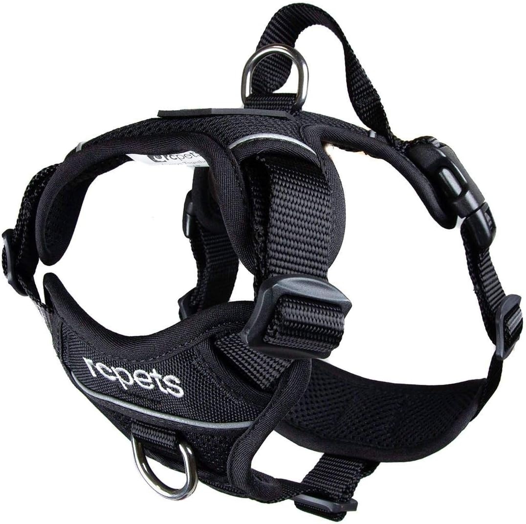 RC PETS - Black Momentum Control Harness - Paddock Animal & Co