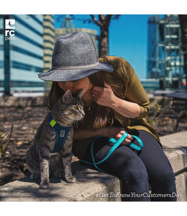 RC PETS - Harnais Moto Control Hybride Noir - Paddock Animal