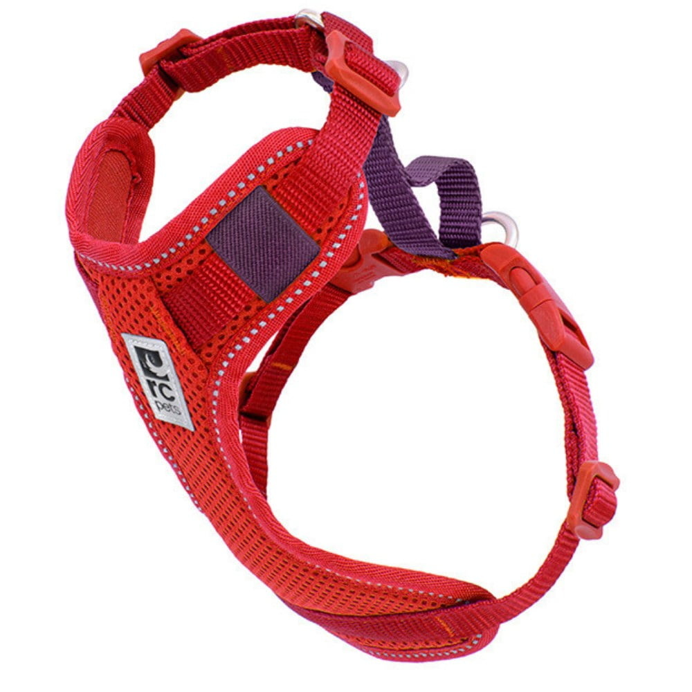 RC PETS - Harnais Moto Control Hybride Goji Berry - Paddock Animal