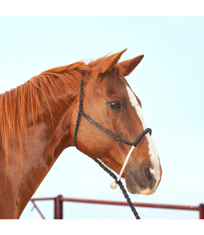 CLASSIC EQUINE - Rope Nose Halter & Leadrope - Paddock Animal & Co