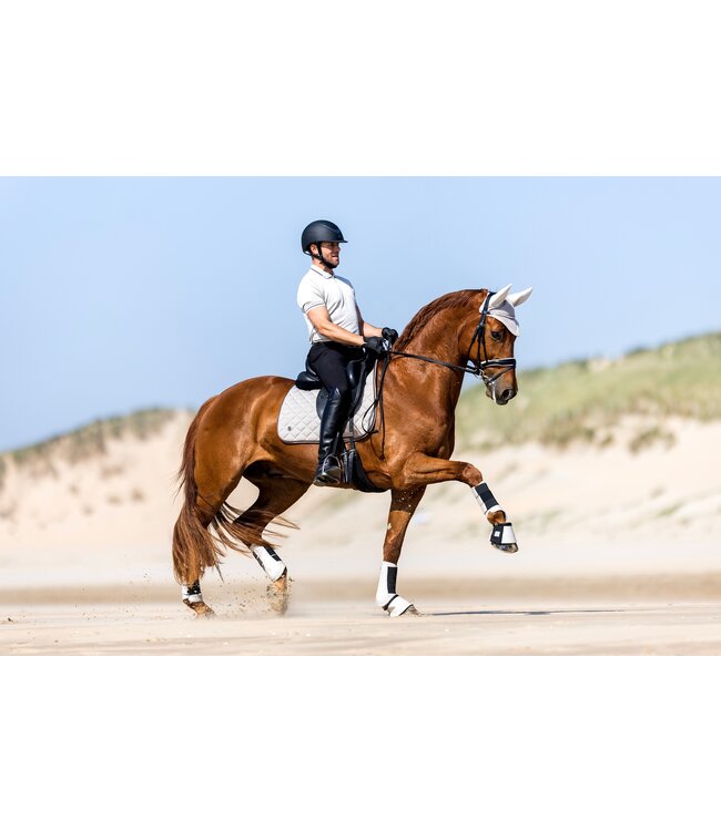 BR EQUESTRIAN - Polo Shirt Ethan pour Homme Dove - Paddock Animal