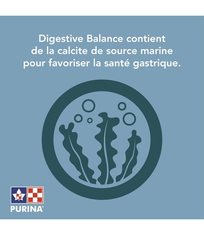 CARGILL PURINA - Digestive Balance - Paddock Animal
