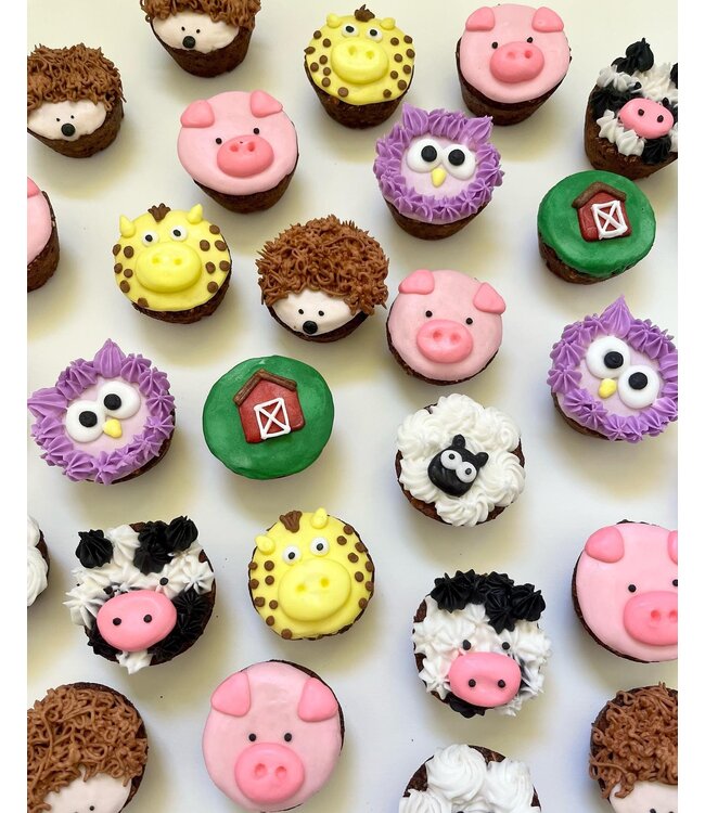 BOO & MOO - Muffin pour Chevaux avec Glaçage 8Pack - Paddock Animal