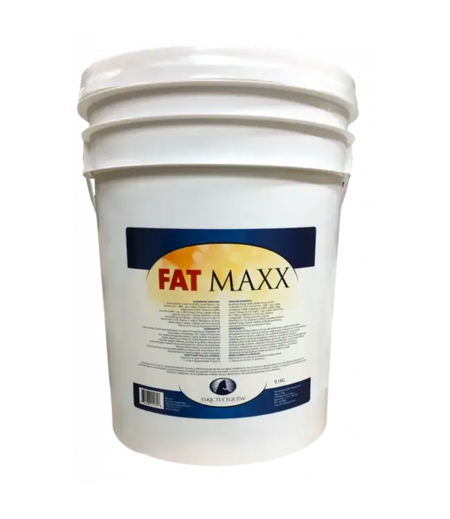 STRICTLY EQUINE - Fat Maxx - Paddock Animal