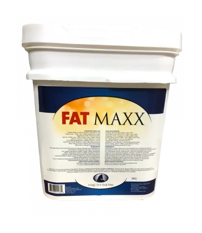 STRICTLY EQUINE - Fat Maxx - Paddock Animal