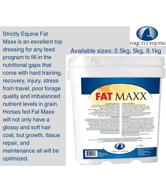 STRICTLY EQUINE - Fat Maxx - Paddock Animal