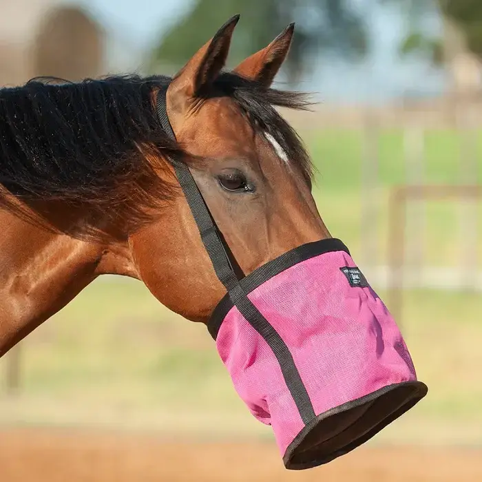 CASHEL - Feed Rite Bag - Paddock Animal & Co