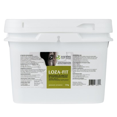 LOZANA - Loza-fit - Paddock Animal & Co