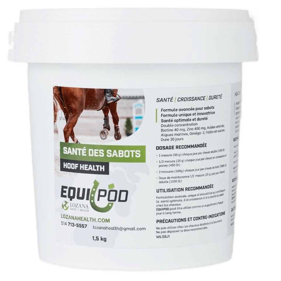 LOZANA - Equipod - Paddock Animal